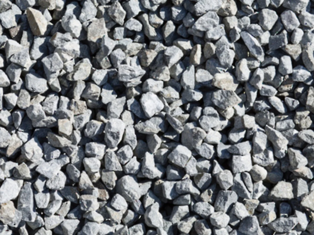 Builders — BARK & BOULDERS