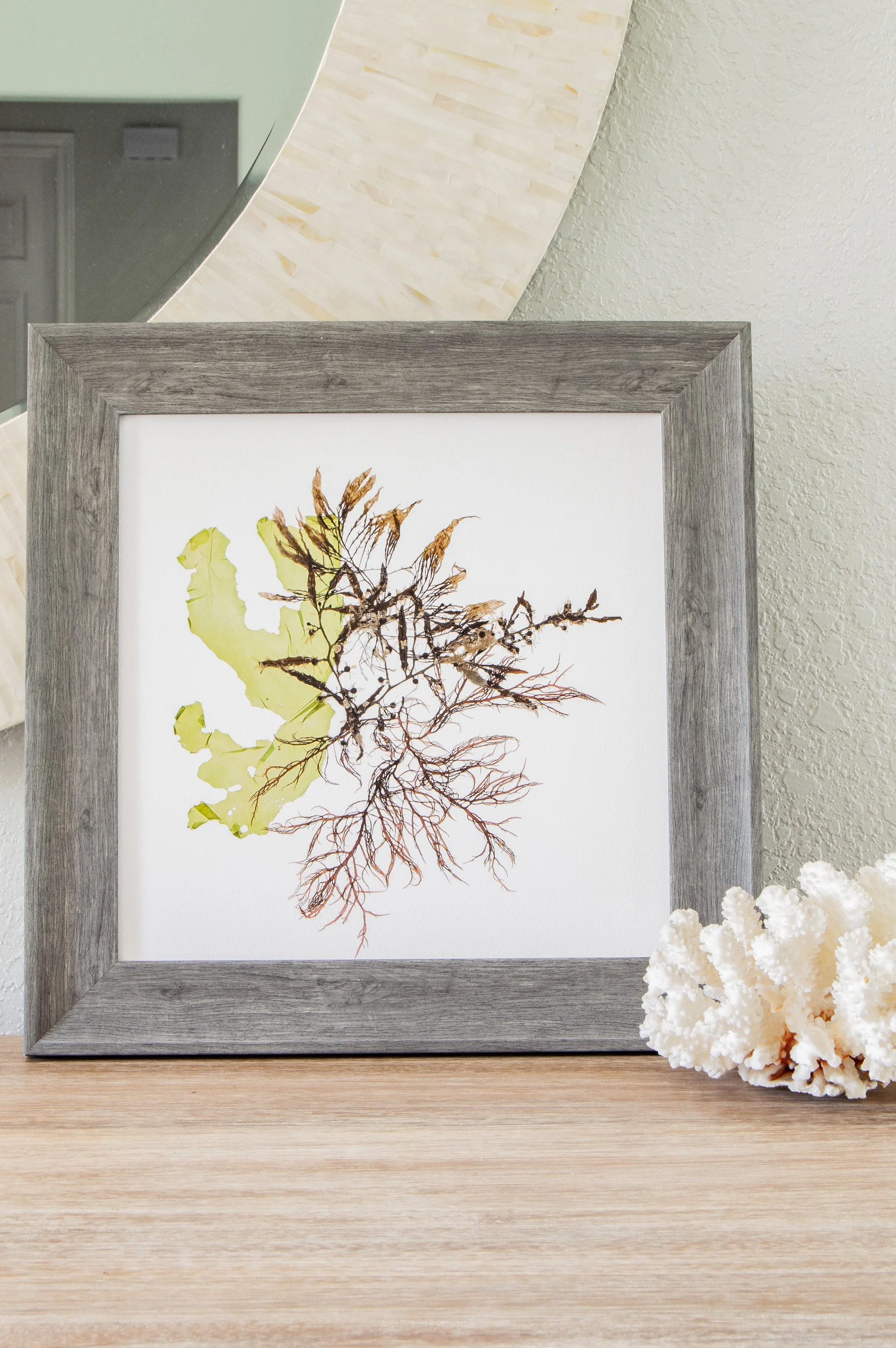 Emily McCauley — Moon Over Water Gallery & Artisan Market
