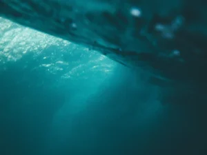Crest Surf Clubs
