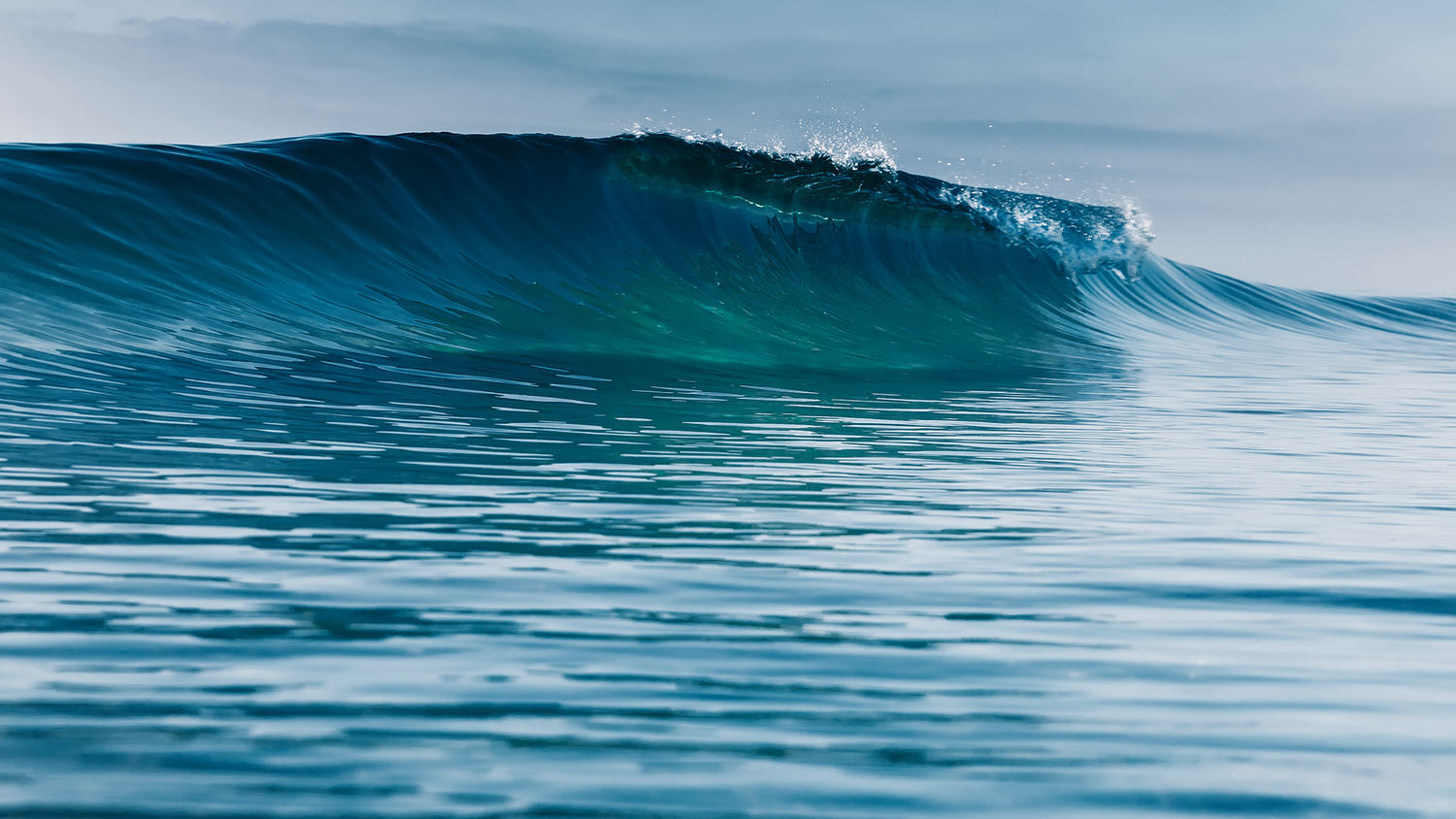 The Wave — Crest Surf Clubs