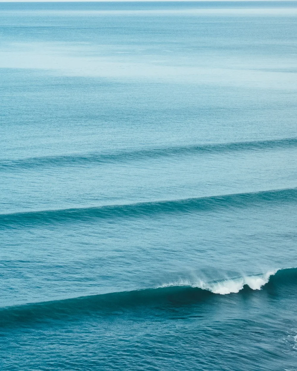 The Wave — Crest Surf Clubs