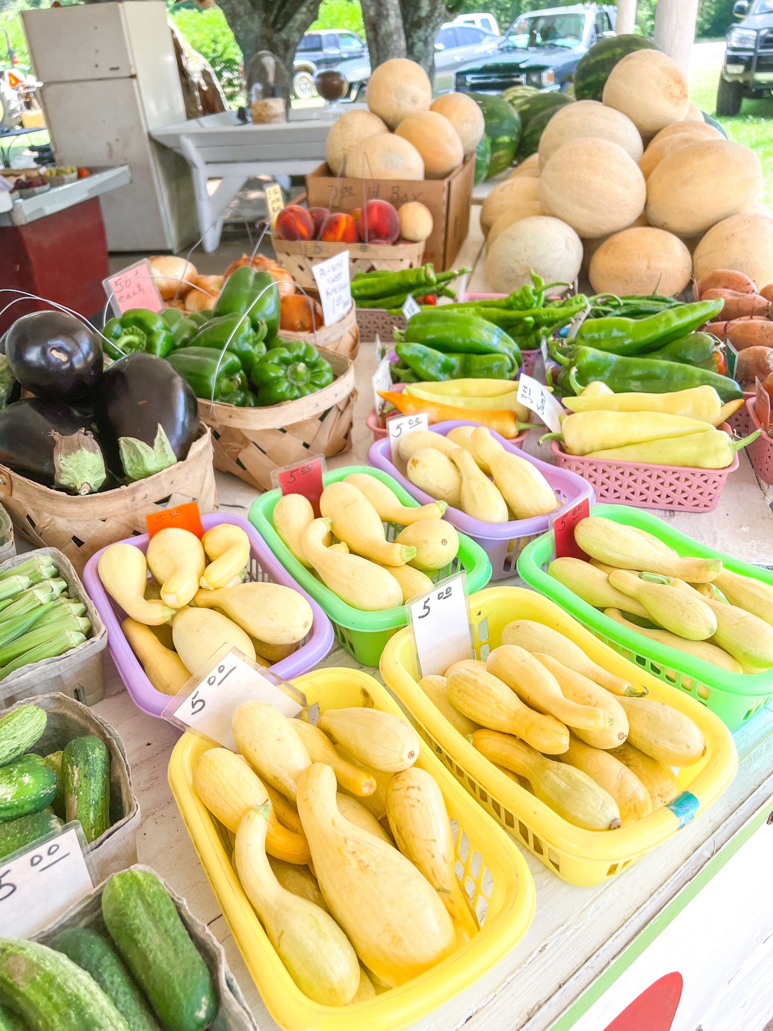 Tuscaloosa Travel Guide — Lauren Norris