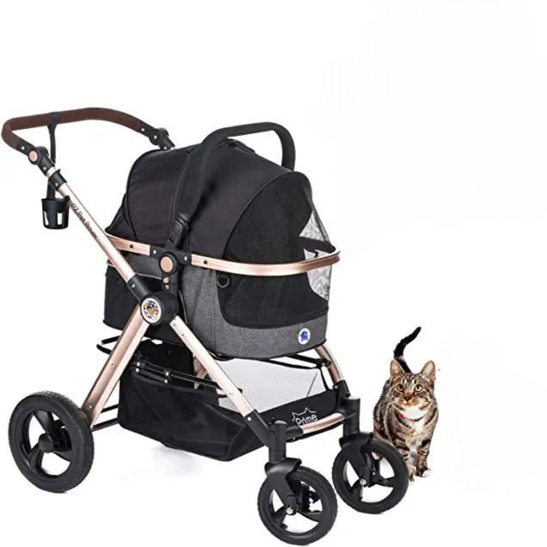 Baby Elle Essentials — Lauren Norris