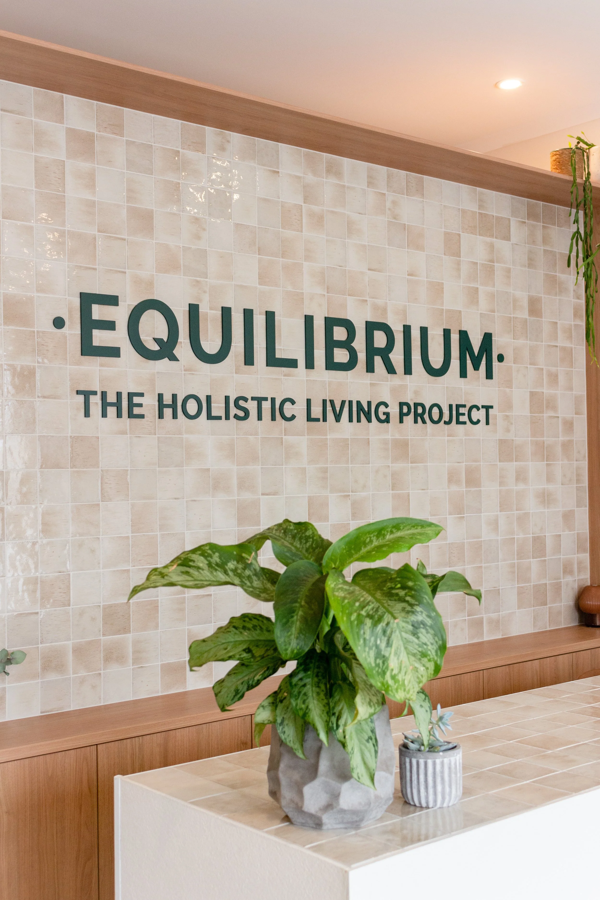 Our Studio — Equilibrium The Holistic Living Project