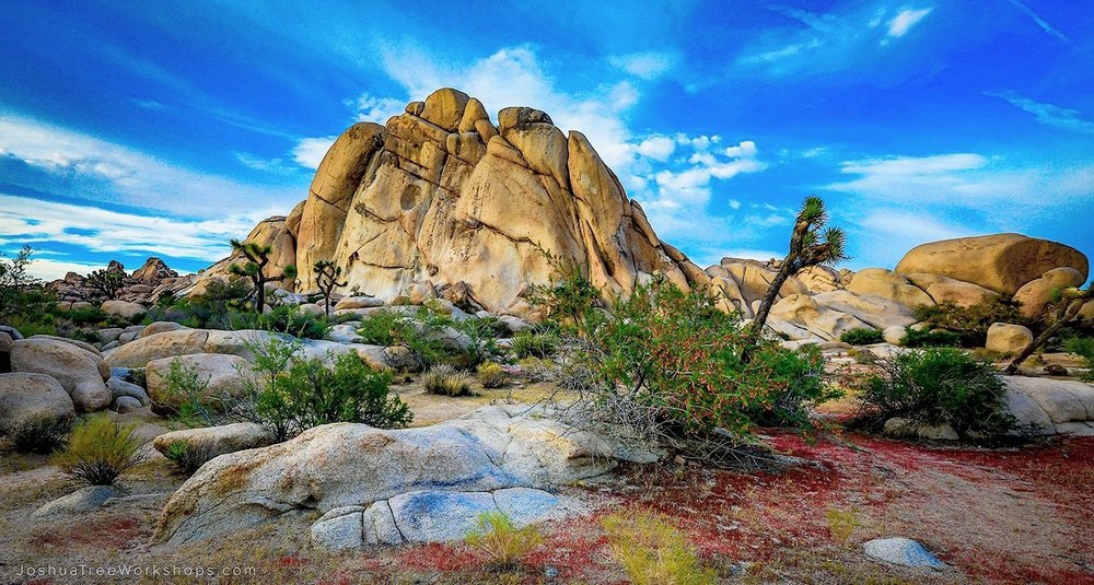 Inspring Destinations in Joshua Tree National Park — Visit Joshua Tree
