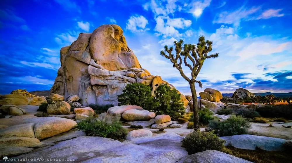Top 10 Local Tips for Visiting Joshua Tree — Visit Joshua Tree
