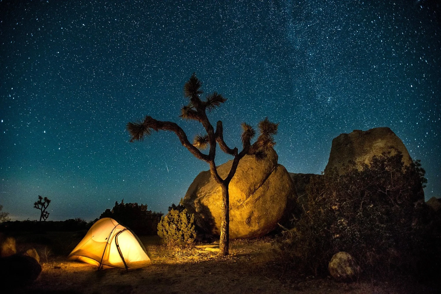 The Best Camping Guide for Joshua Tree, California — Visit Joshua Tree