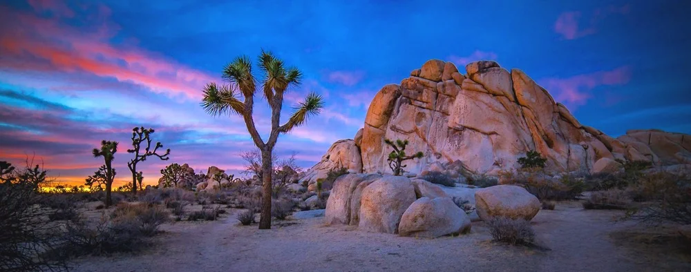 Plan Your Amazing Trip to Joshua Tree, California! — Visit Joshua Tree