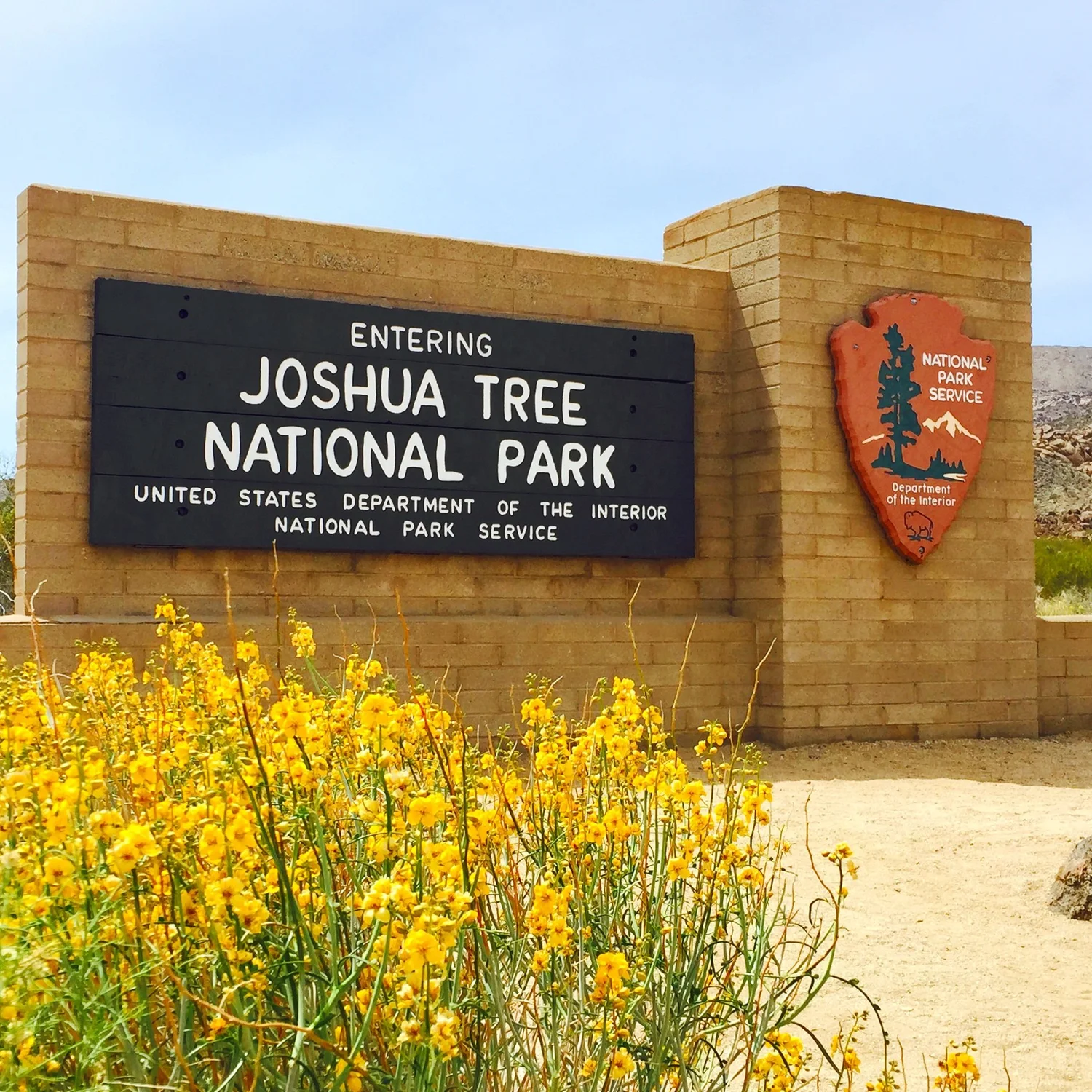 Local's Guide to Joshua Tree, California — Visit Joshua Tree