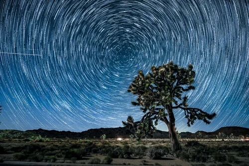 Guide to Milky Way in Joshua Tree — Visit Joshua Tree