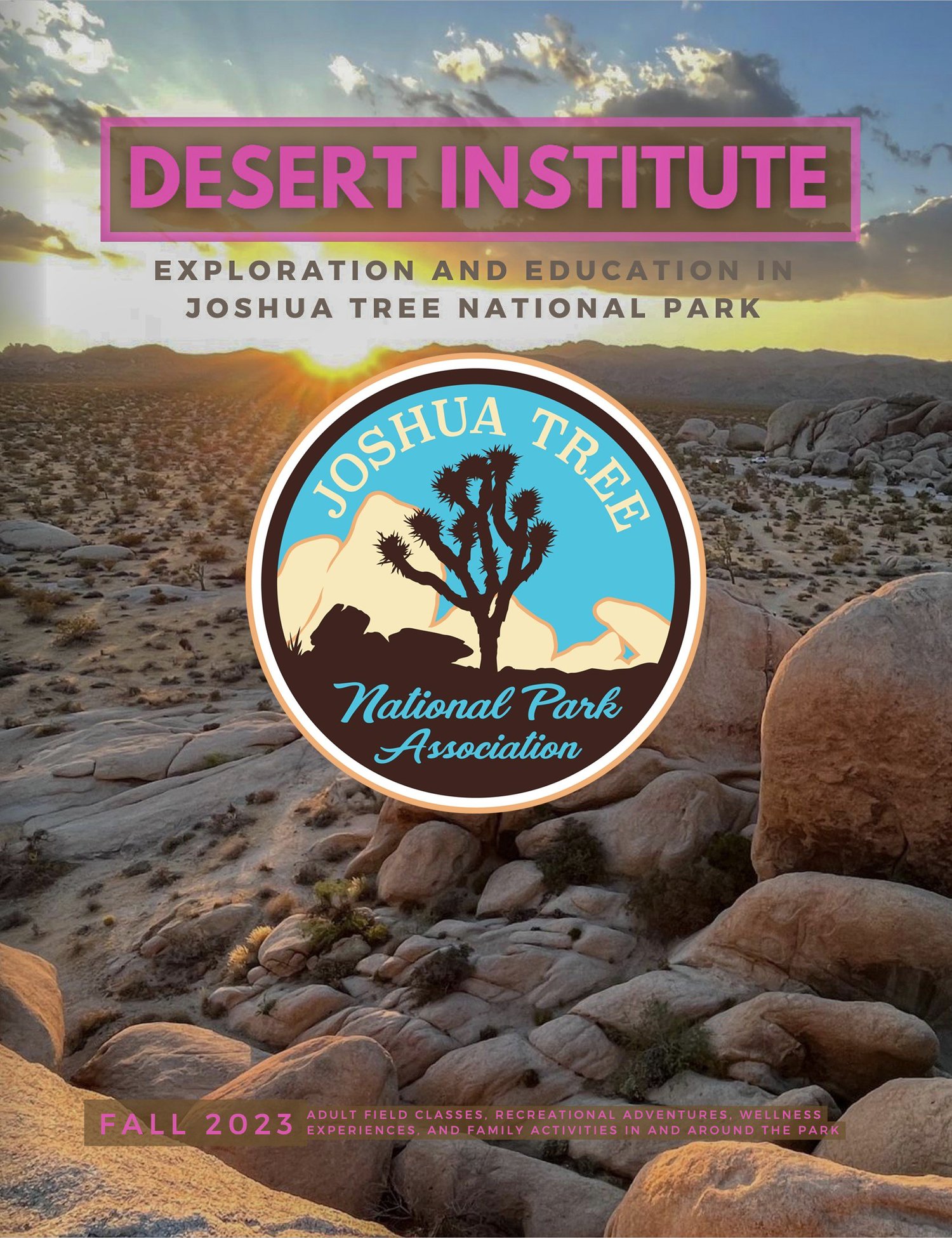 Amazing Guide to Joshua Tree National Park! — Visit Joshua Tree