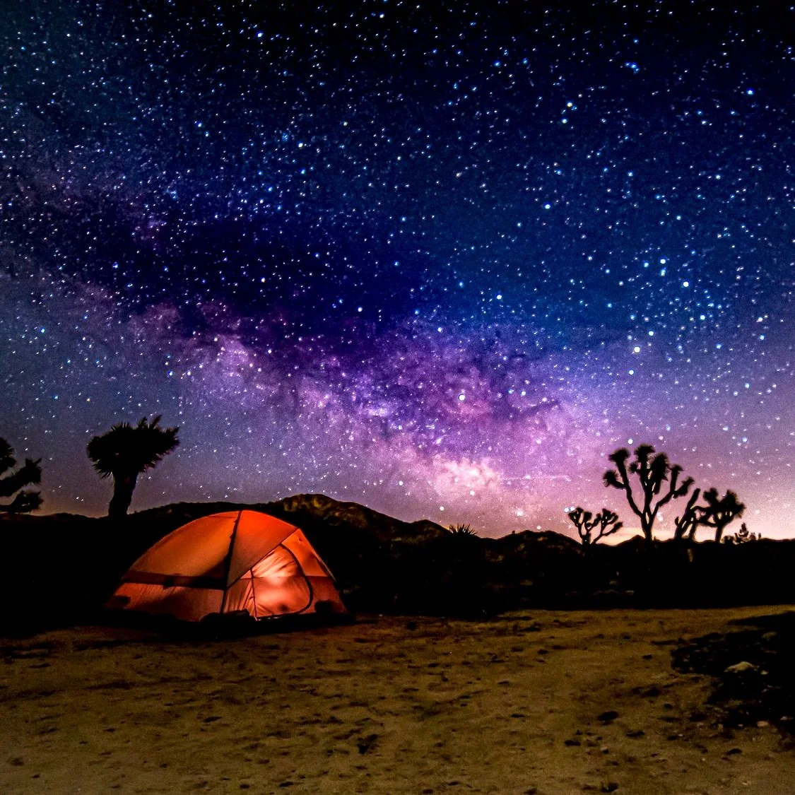 Amazing Guide to Joshua Tree National Park! — Visit Joshua Tree
