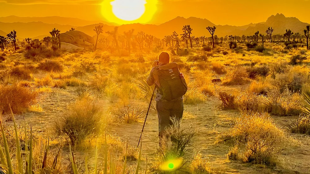 Awesome Photography Tours in Joshua Tree National Park — Visit Joshua Tree