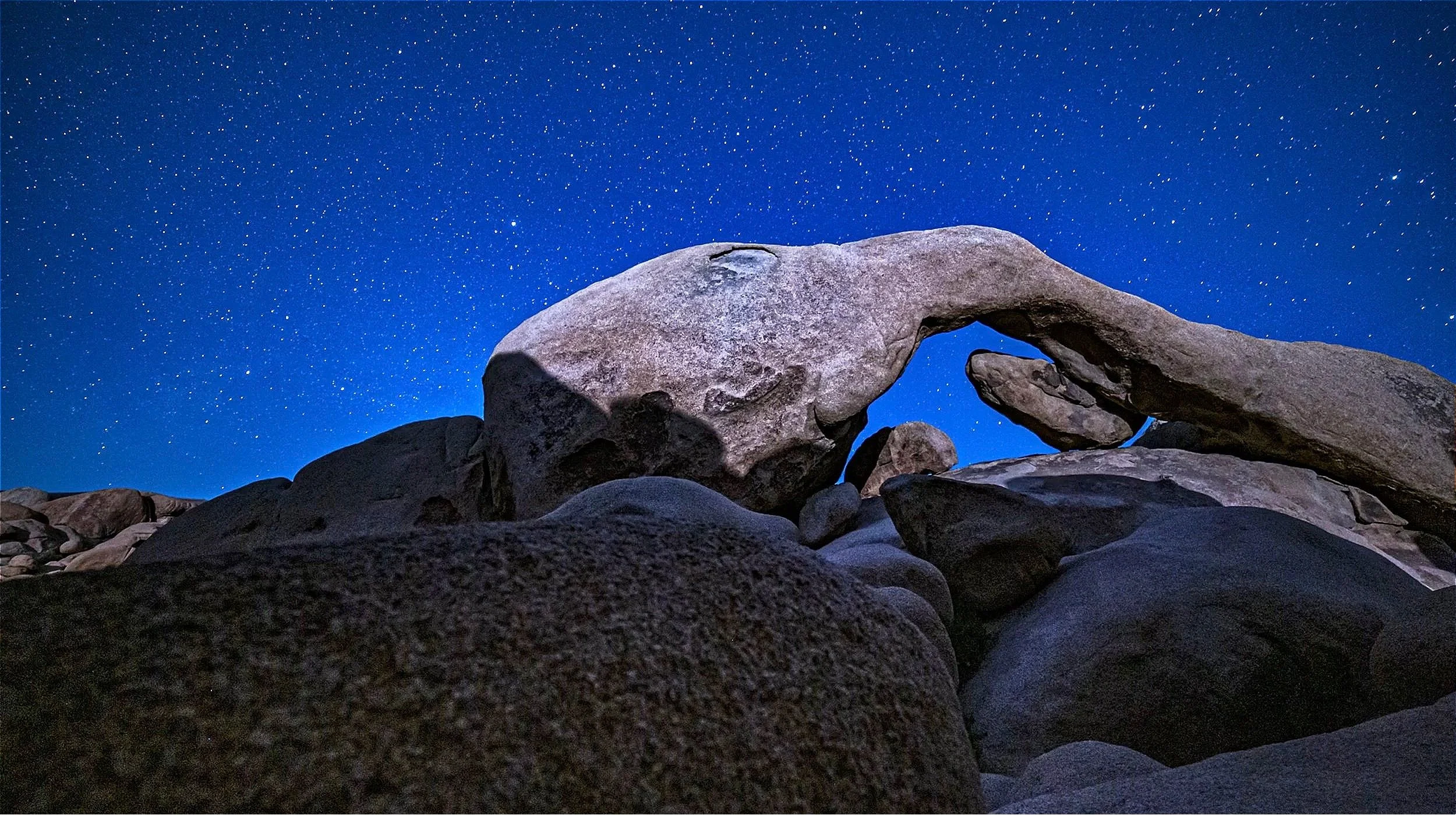 Visit Joshua Tree - Visit Joshua Tree