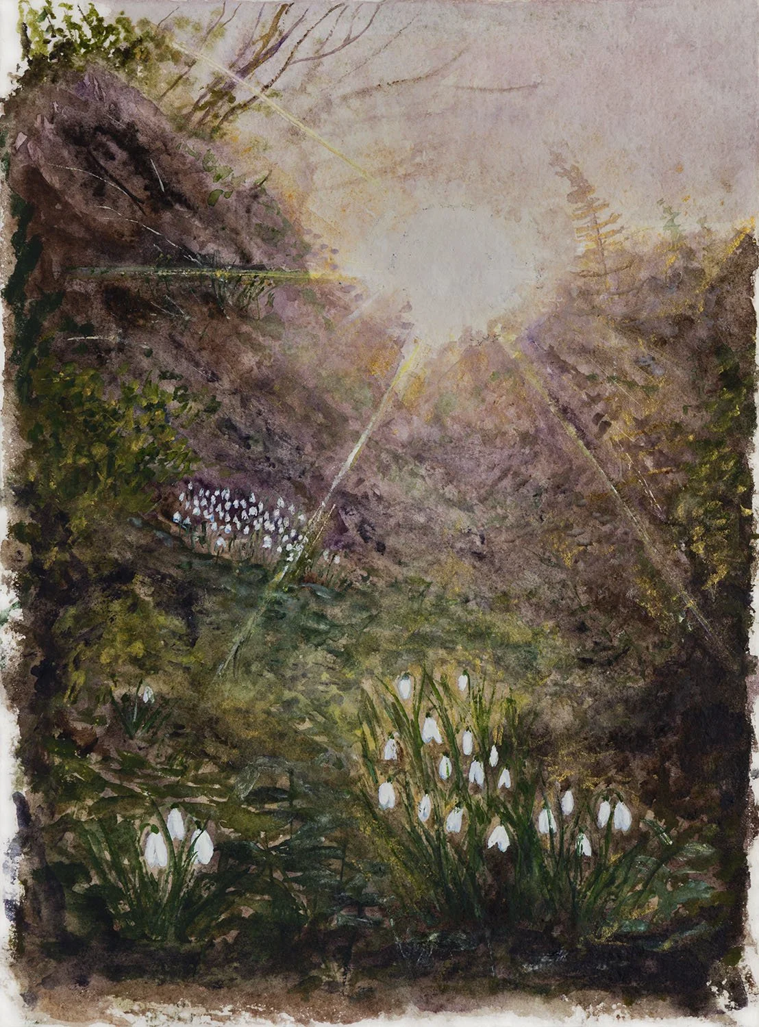 Gallery — Innes Davis Art