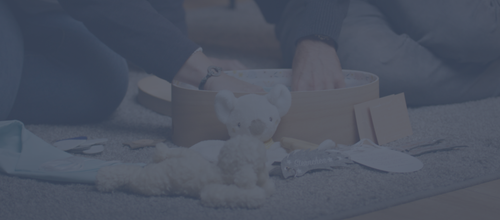 English — CuddleCot™