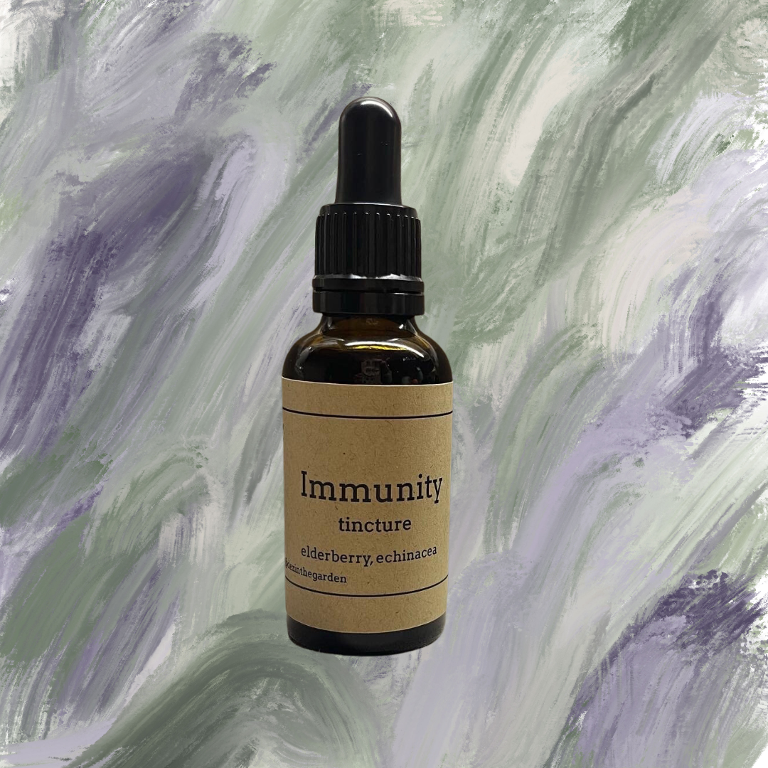 Potent Immunity Tincture: Wild Elderberries & Echinacea Blend — in the garden