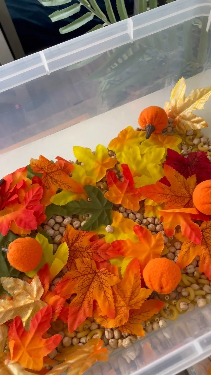 Grow & Play Pediatric Therapy