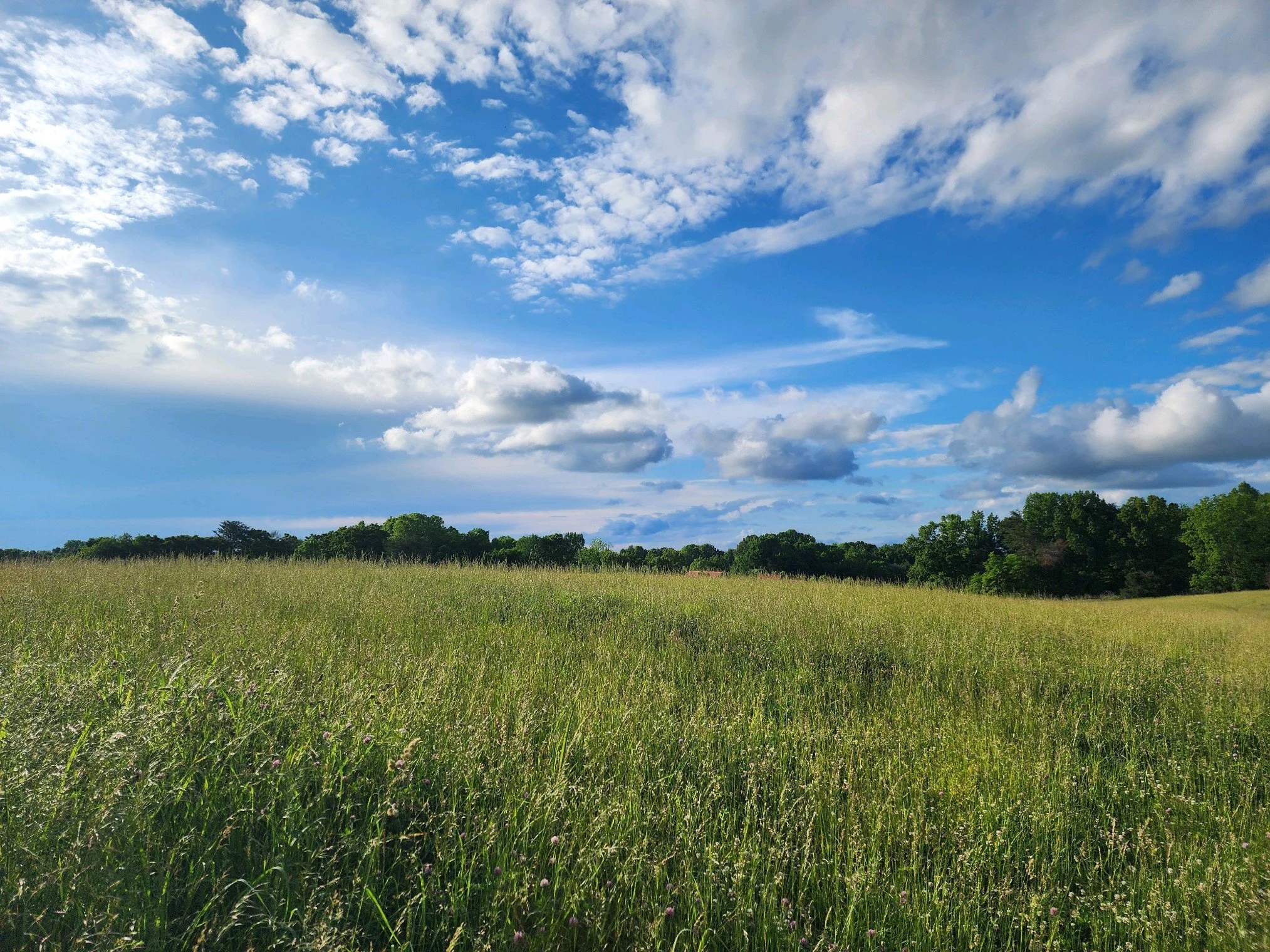 Crown Mark Hardwoods - Live edge wood slabs, vacuum kiln drying, and ...