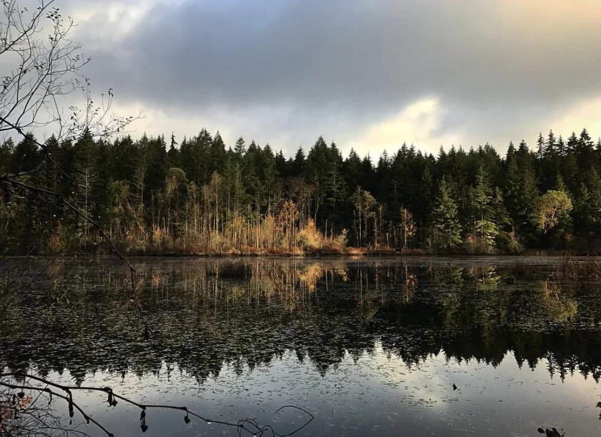 General 3 — Vashon-Maury Island Land Trust
