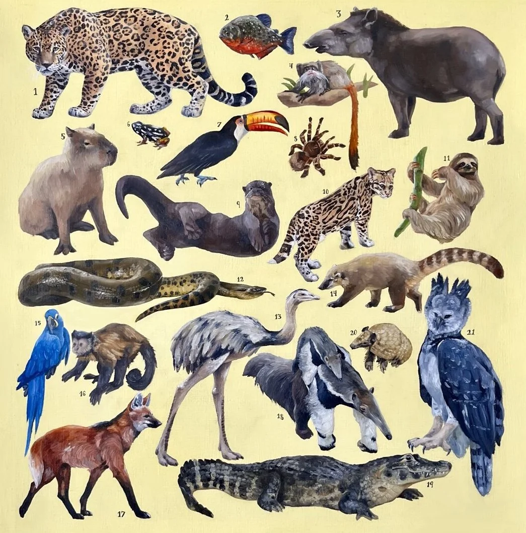 Allied Artists Illustration Agency