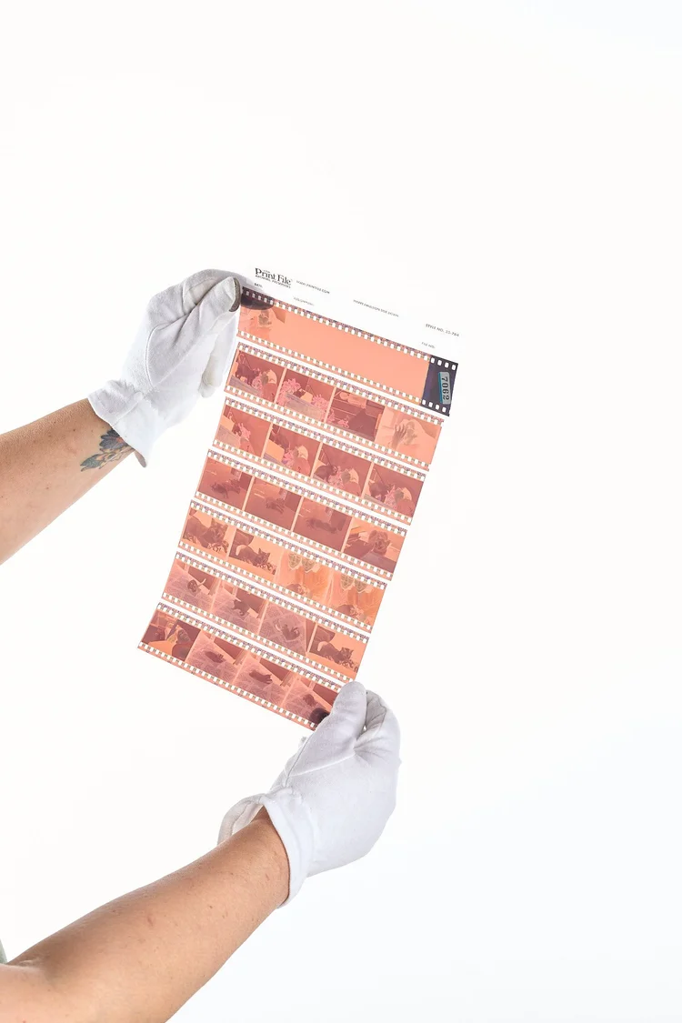 Preserving the Past: The Significance of Digitizing Old Photos and ...