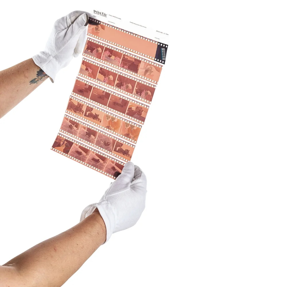 The Great Debate: Digitizing Prints vs. Negatives | The Family Archivists