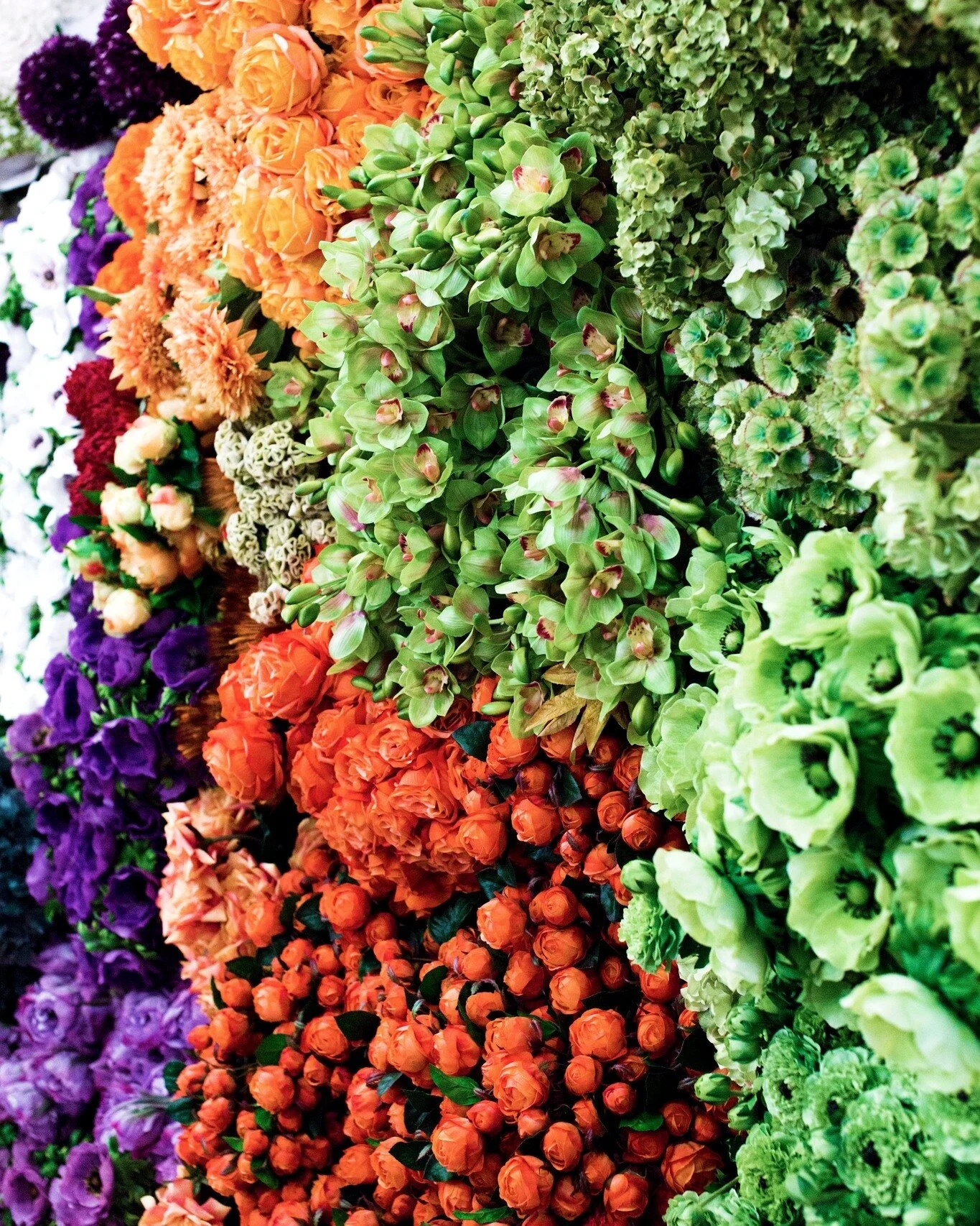 Seasonal — The Botanical Mix