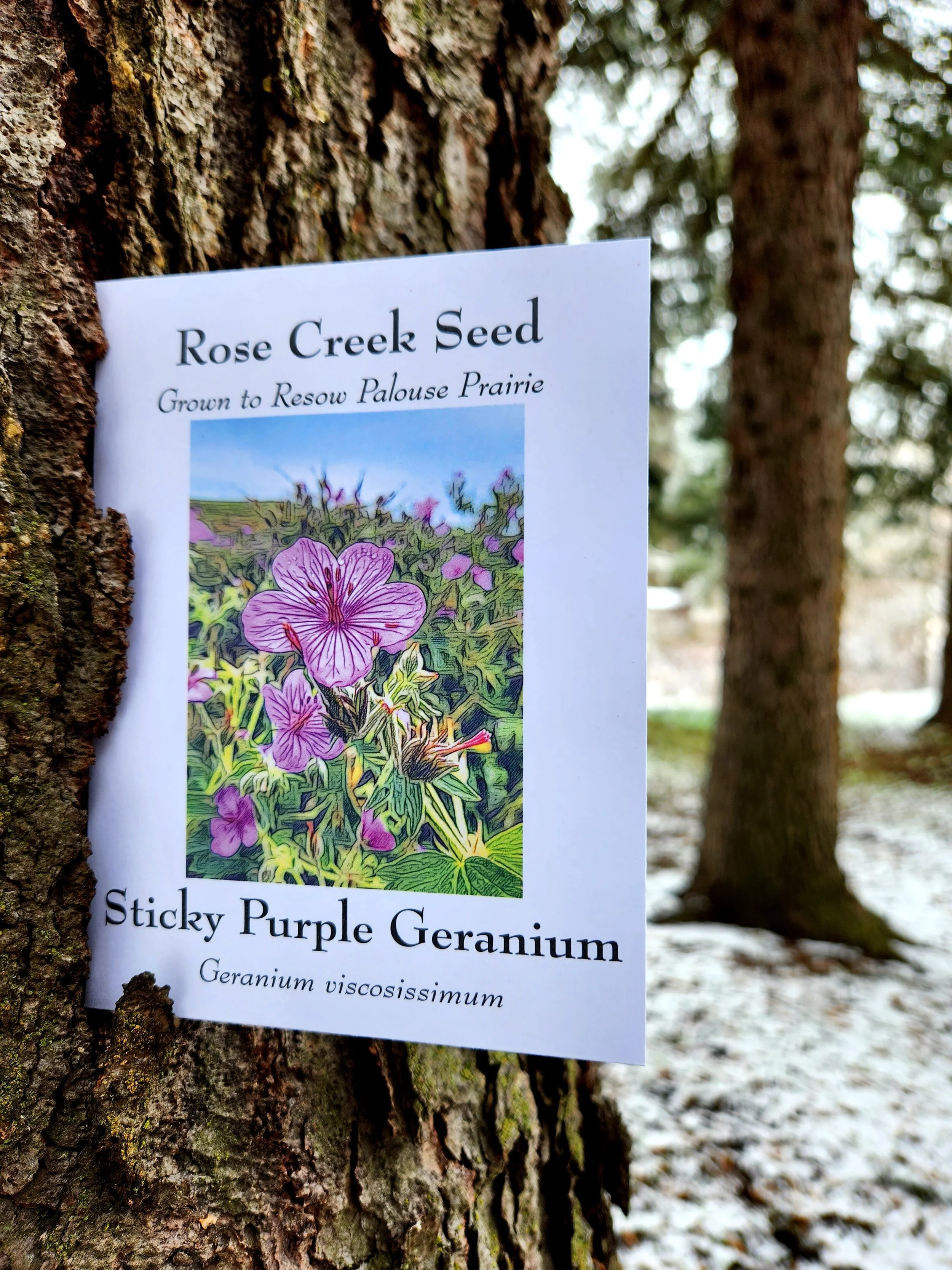 Native Seed — Rose Creek Seed