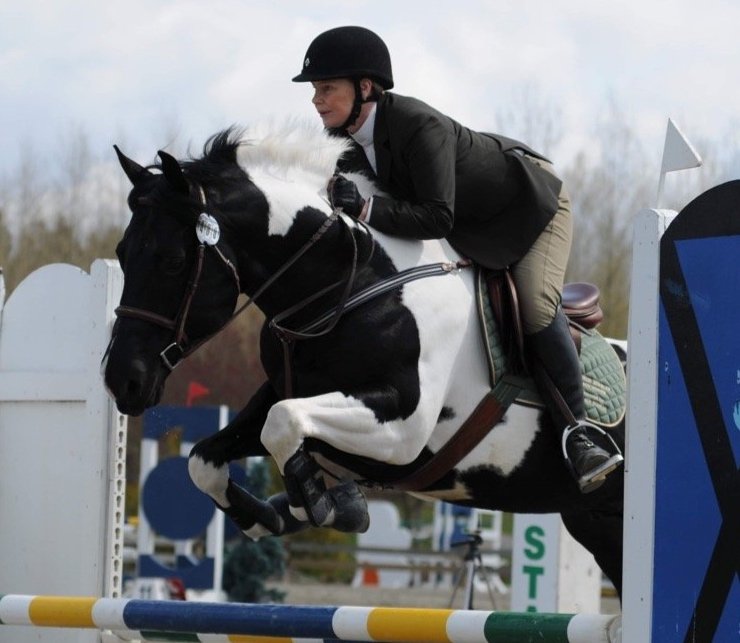 Stallion Show — American Tobiano Horse Association