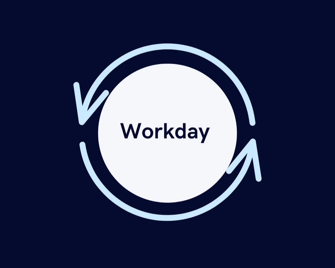 Workday Boomerang Integrations: An Overview — stormloop
