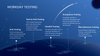 Overview of Workday Testing — stormloop
