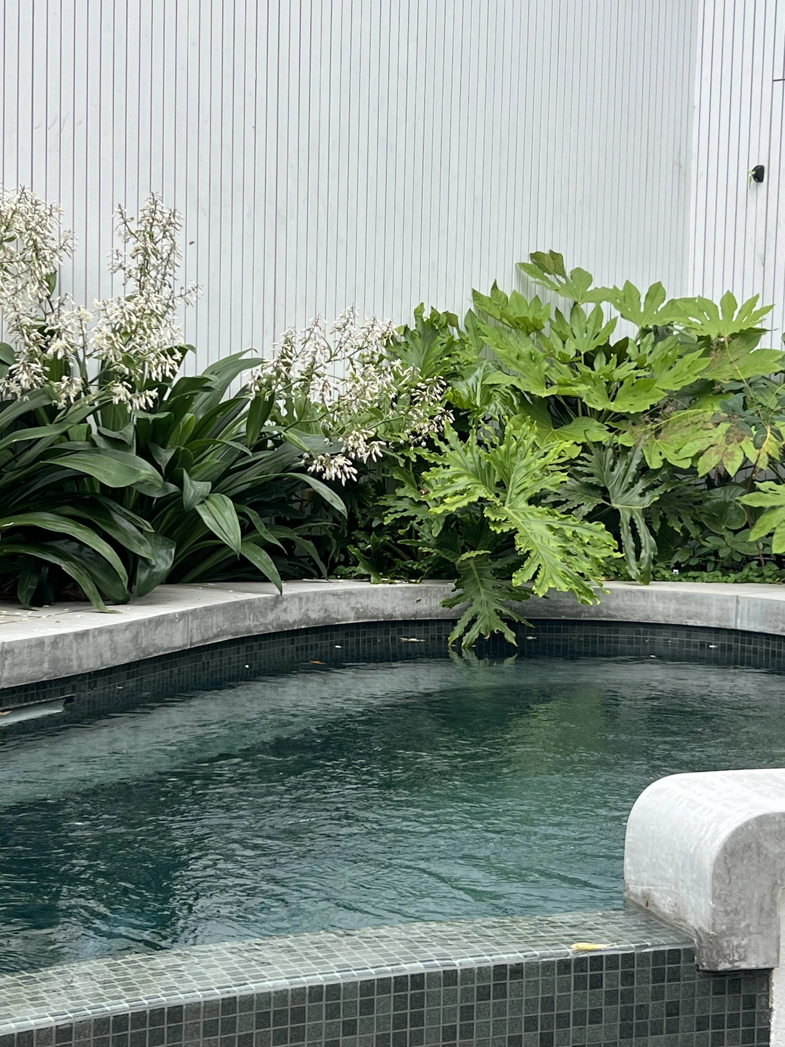 South Yarra 1 — Mud Office