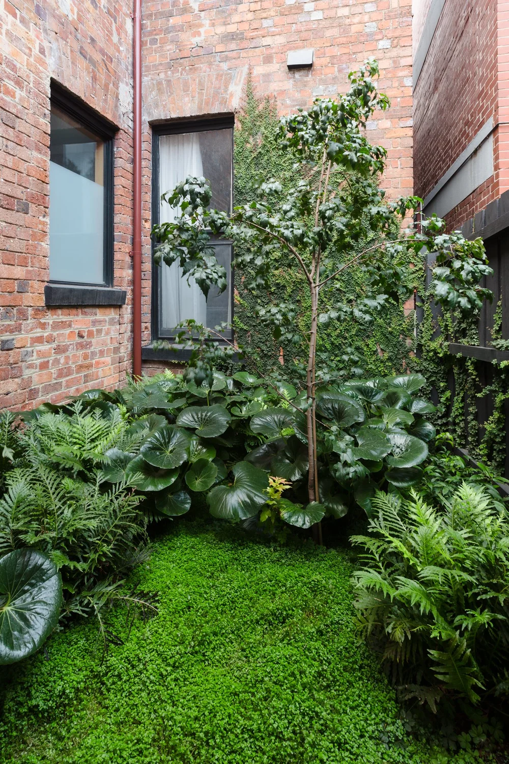 North Melbourne — Mud Office