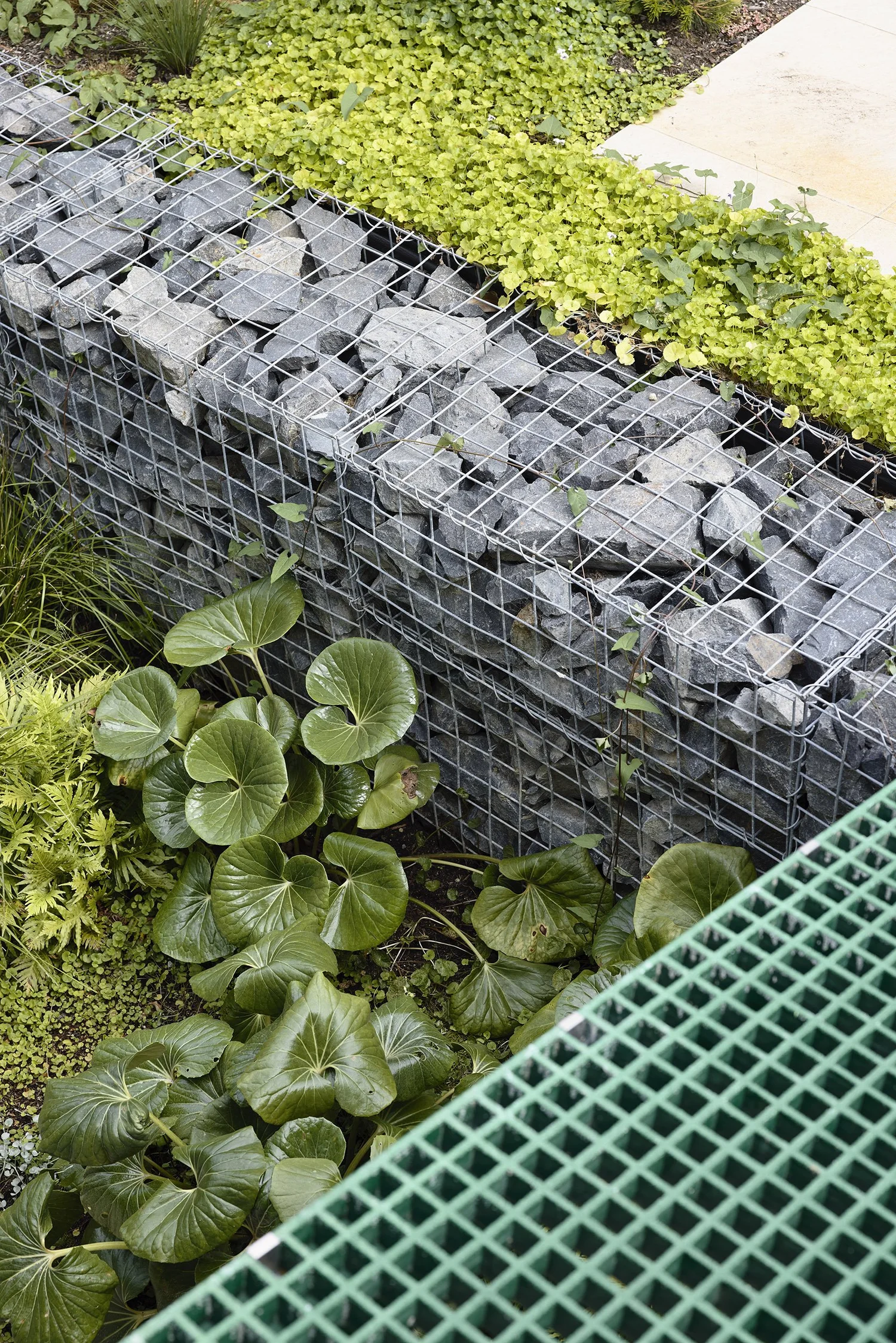 Kew 2 — Mud Office