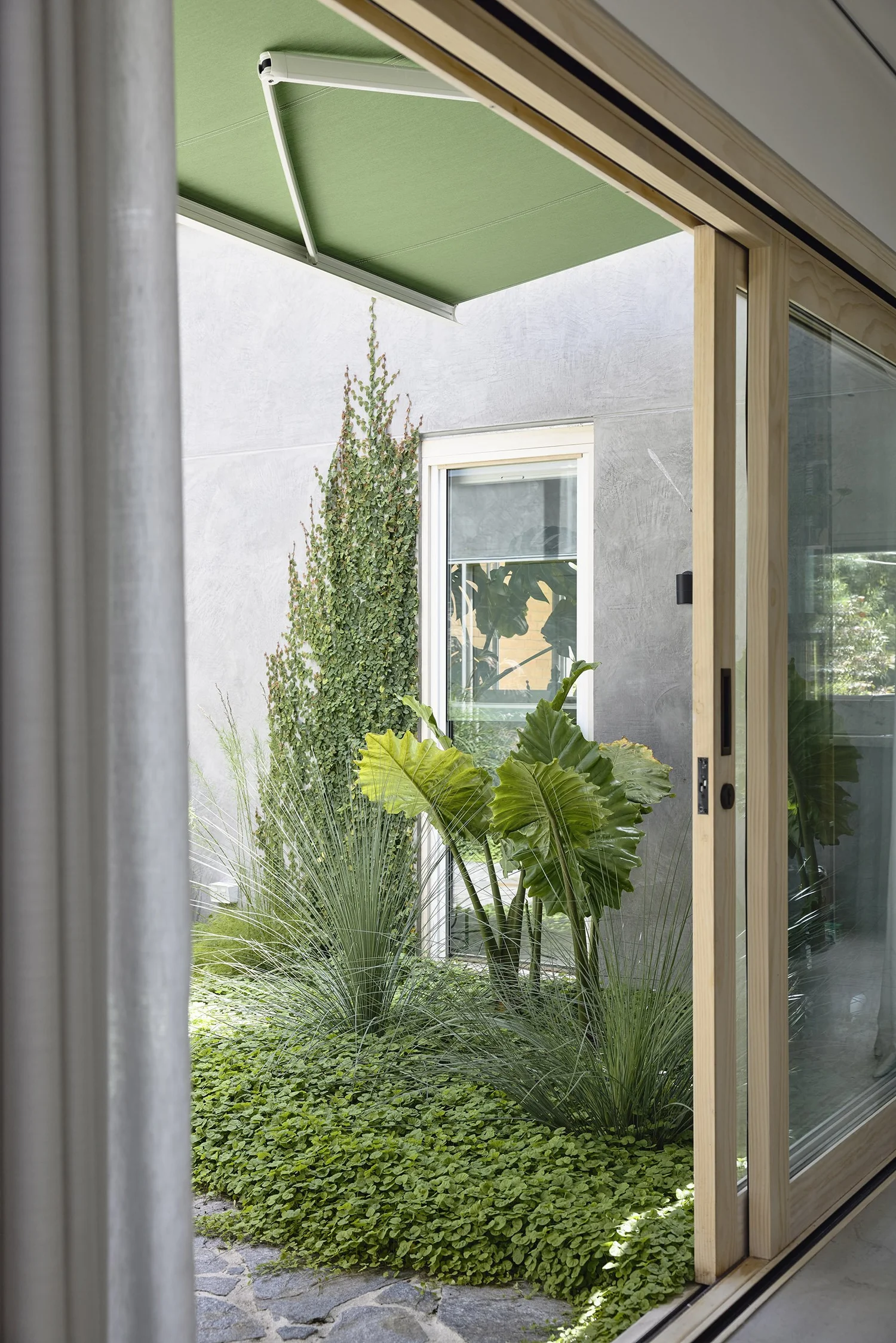 Kew 2 — Mud Office