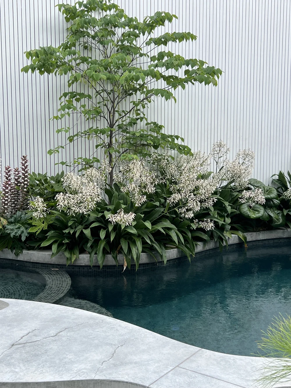 South Yarra 1 — Mud Office