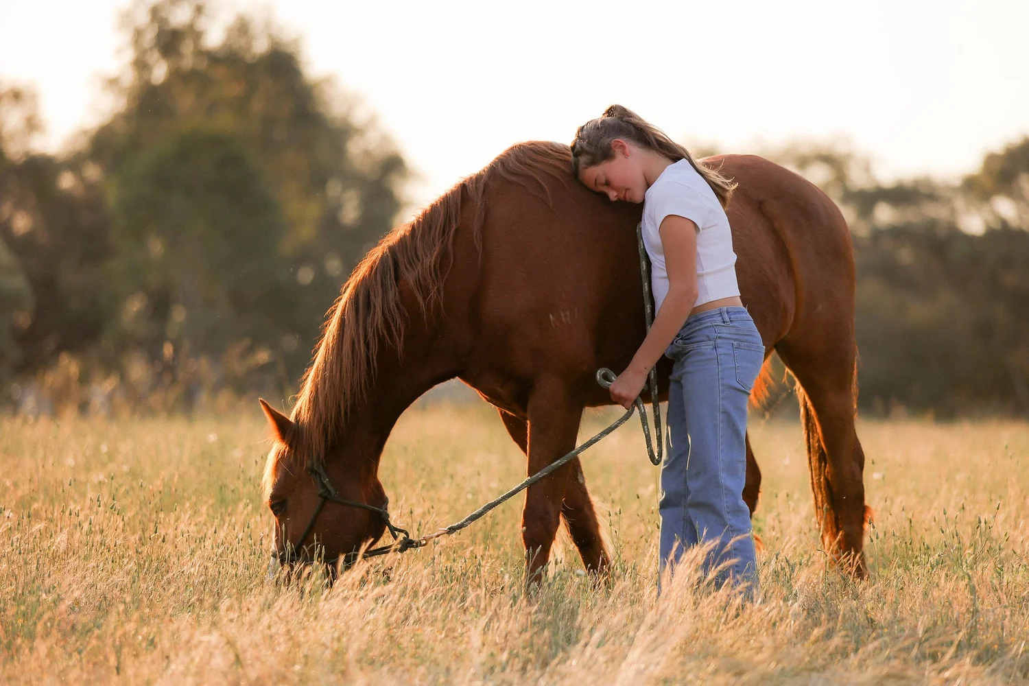 Equine Assisted Wellbeing Institute