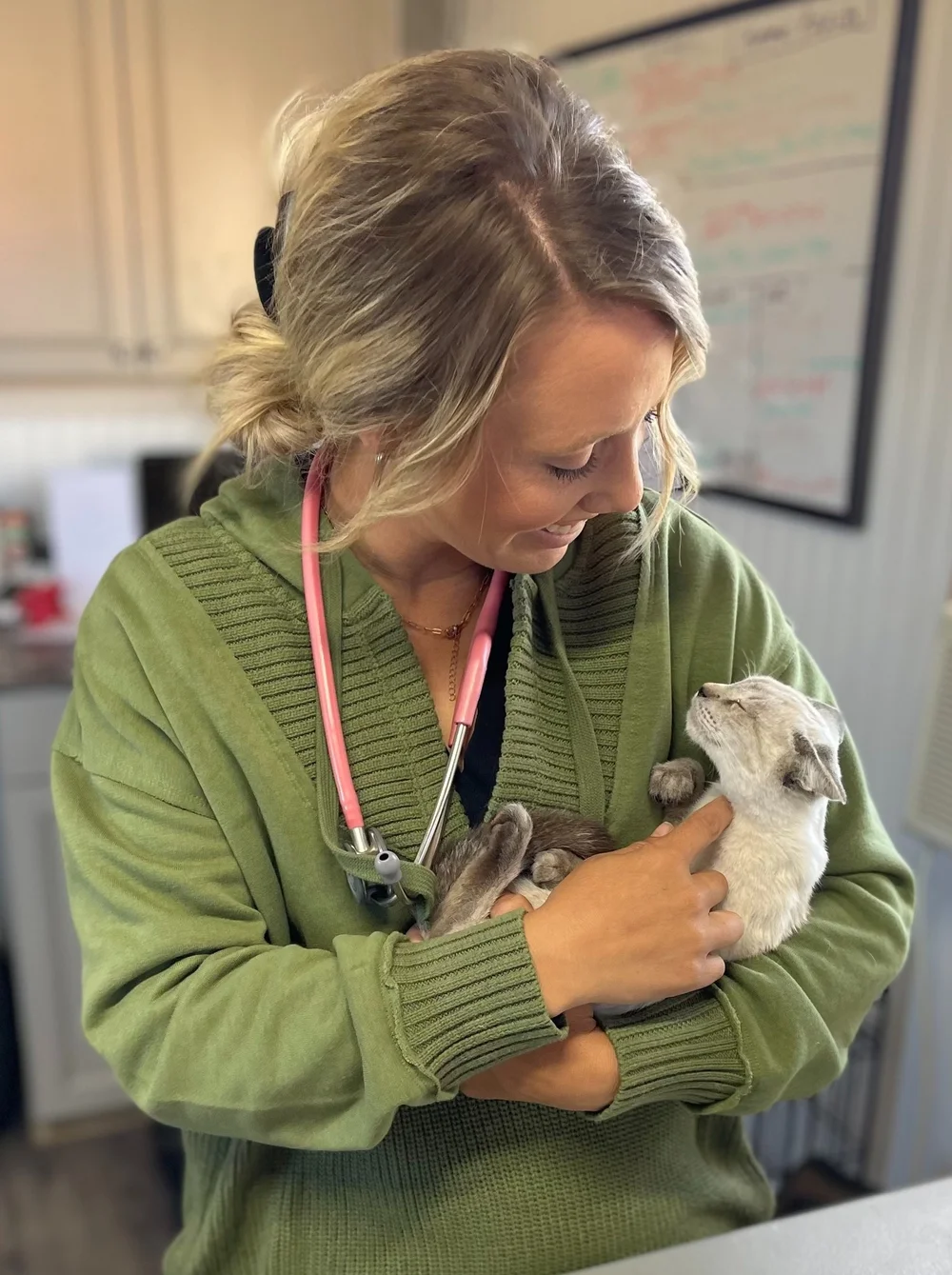 The Ranch Veterinary Clinic