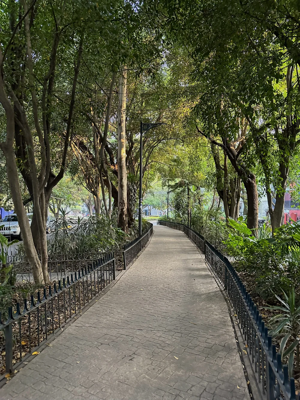 The Best Neighborhoods to Stay in Mexico City — BryGuides