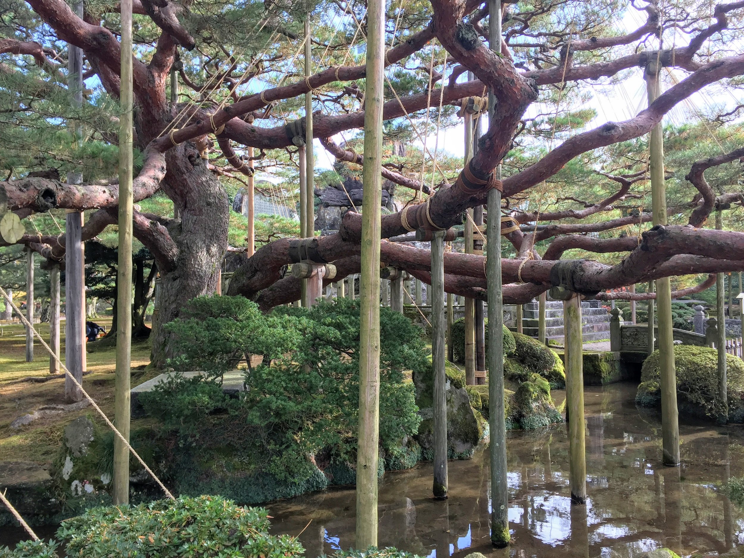 Innovating Internal Operations | Streamline Now — Get Started — Redgum