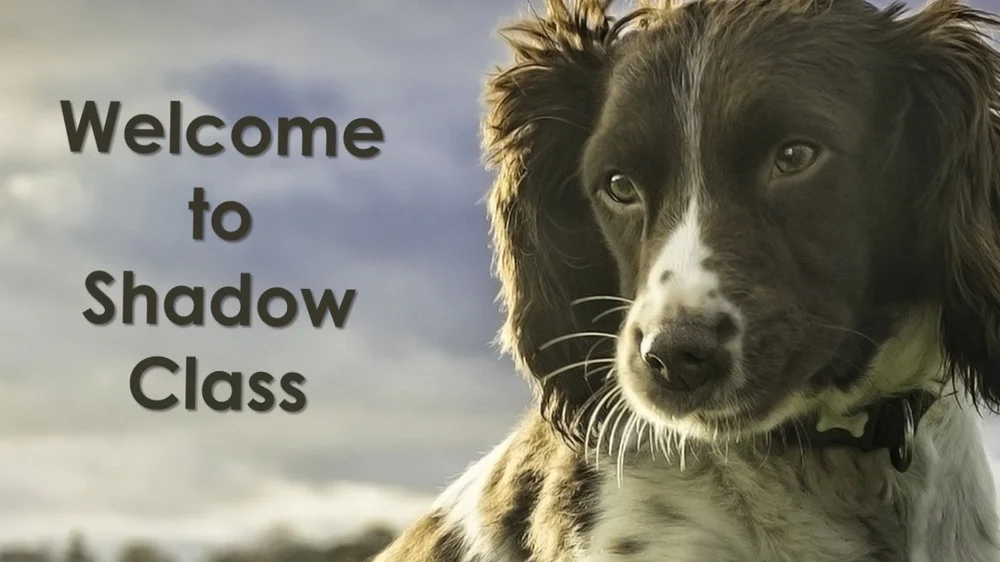 Shadow — South Baddesley C of E Primary School