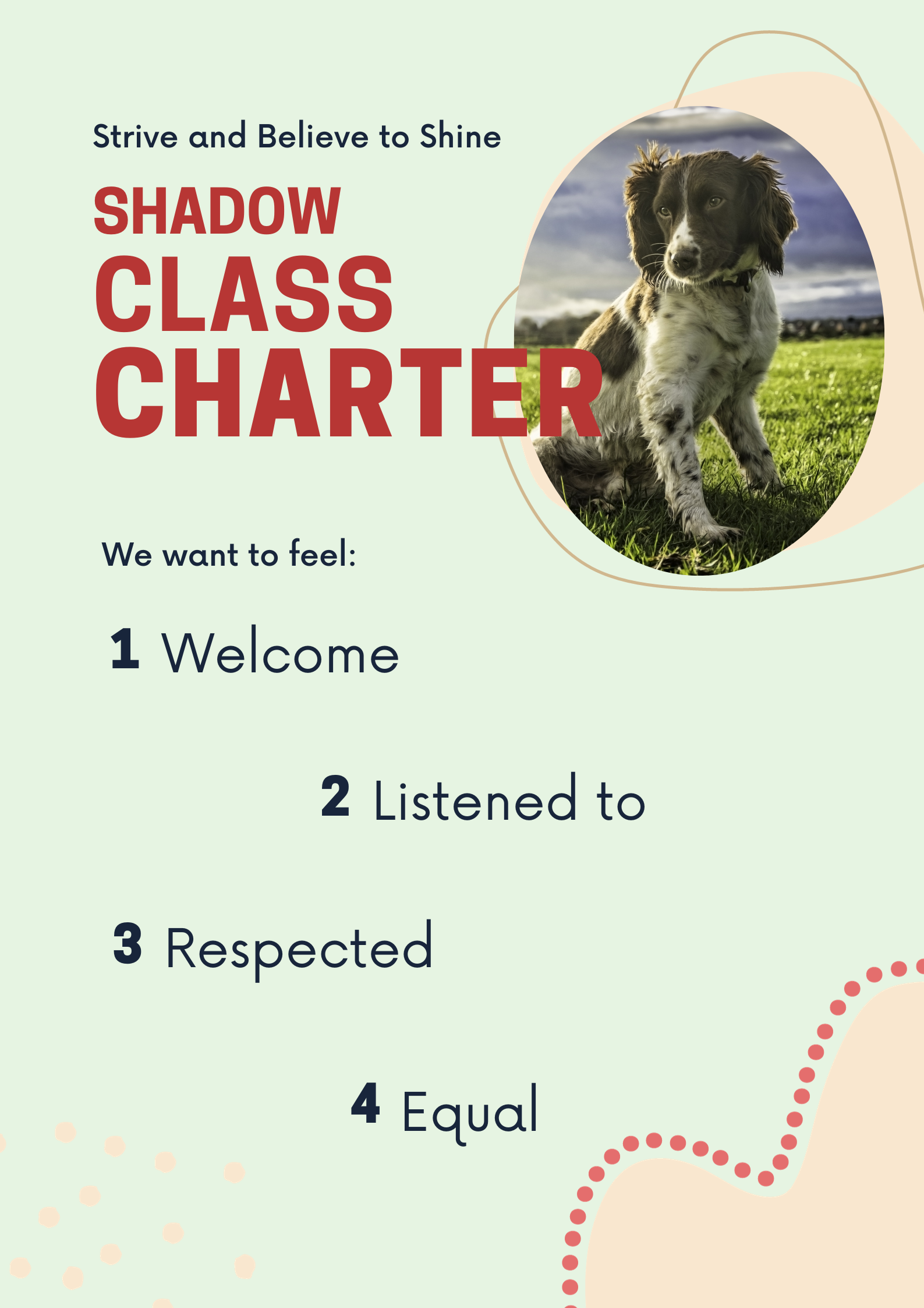 Shadow — South Baddesley C of E Primary School