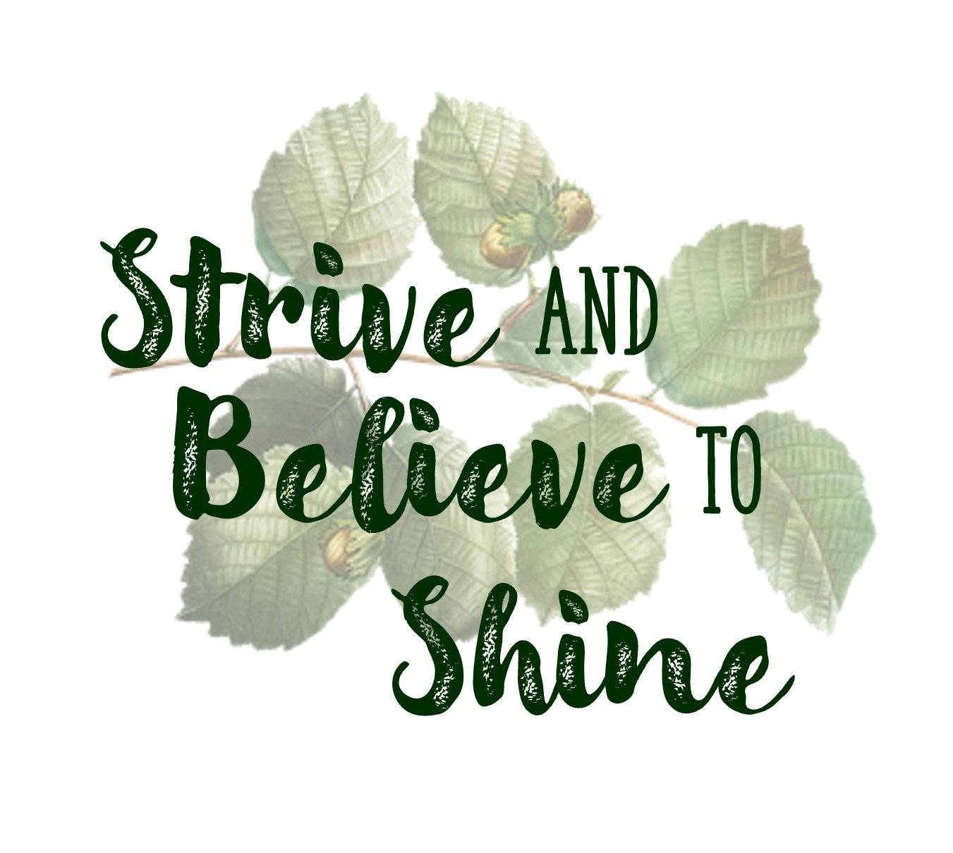 Our Vision and Values | South Baddesley C of E Primary School