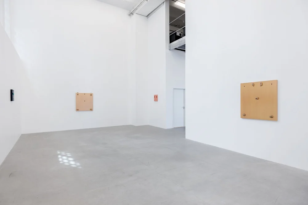 Maximilian Schubert — JACOB BJORN GALLERY