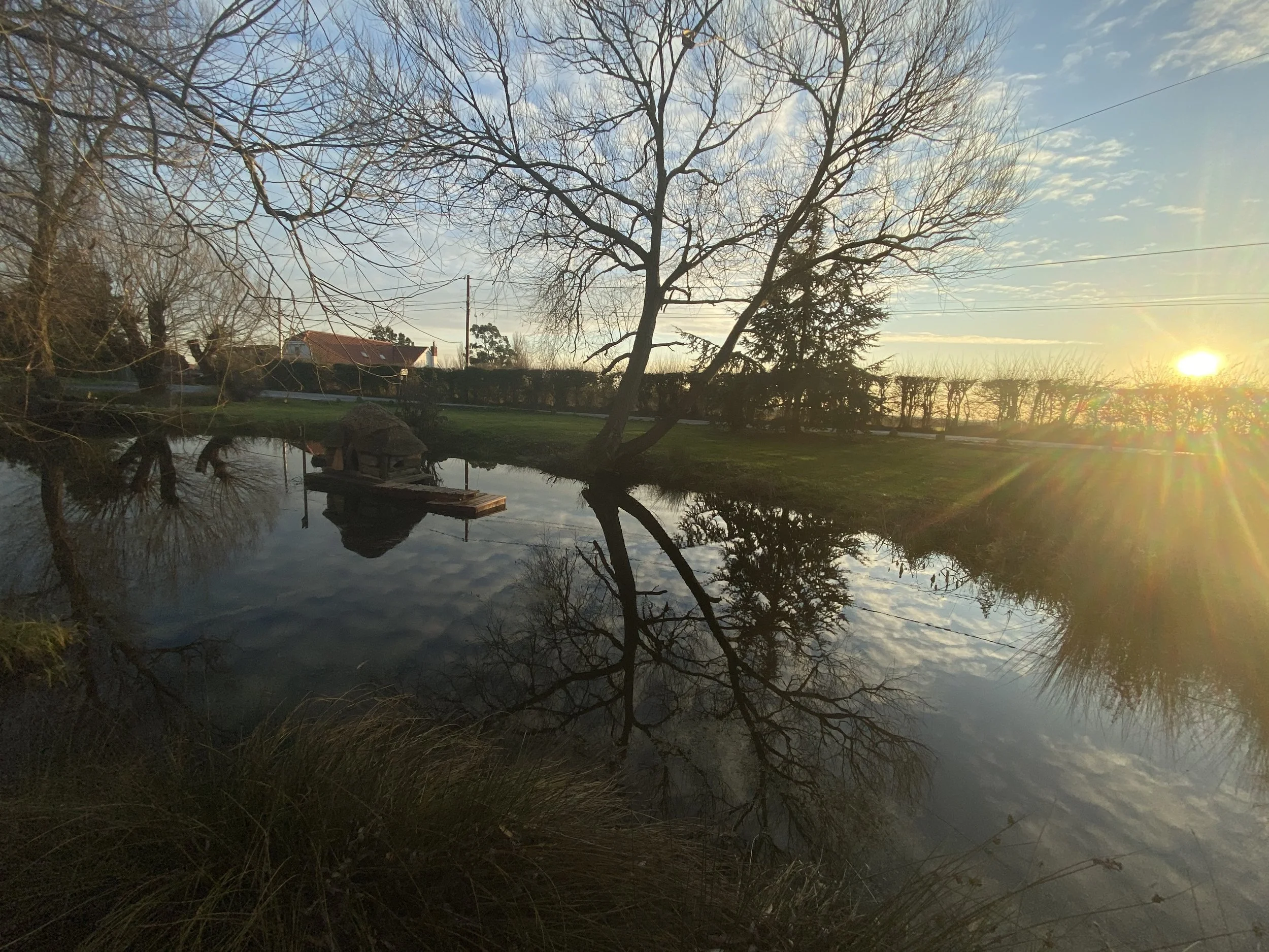 Menu — The Peldon Rose Inn