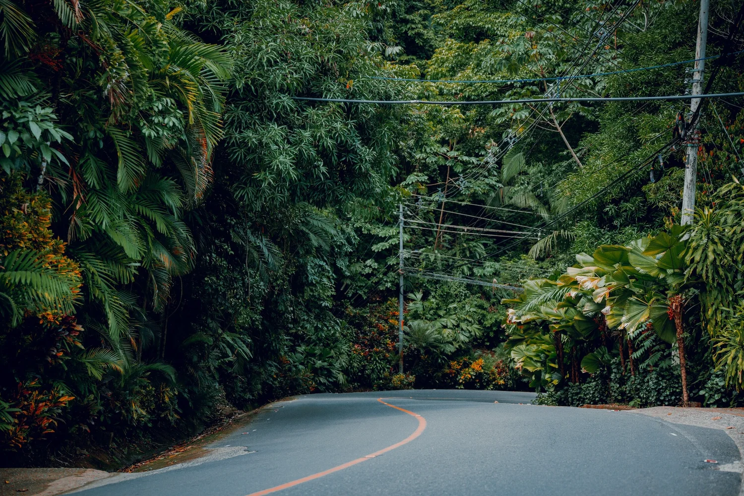 Transportation Advice: How to Get Around in Costa Rica — amber all over
