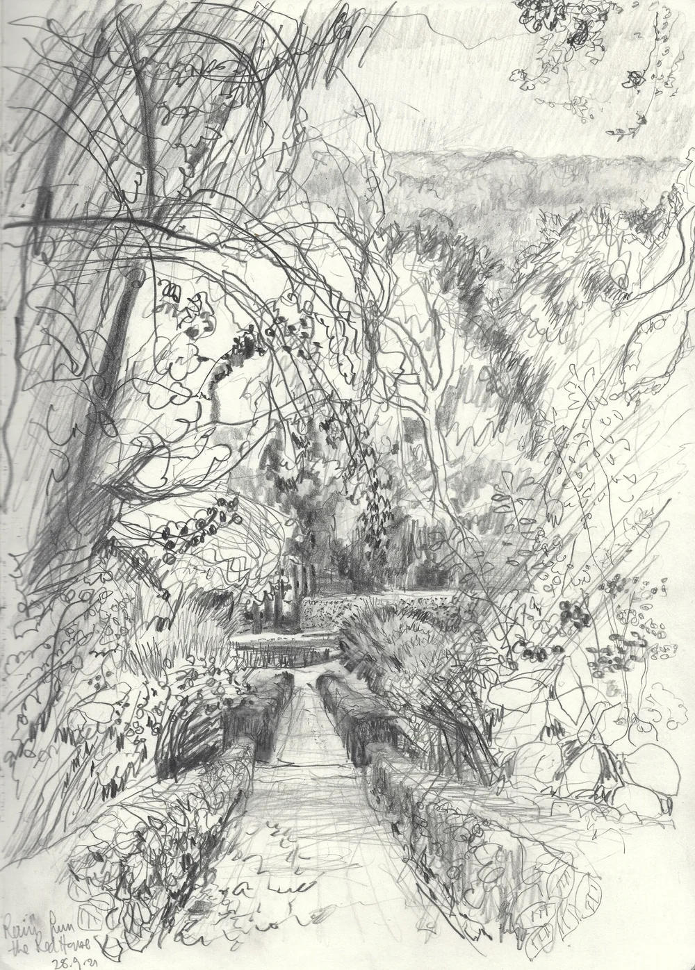Drawings — Carole Bury