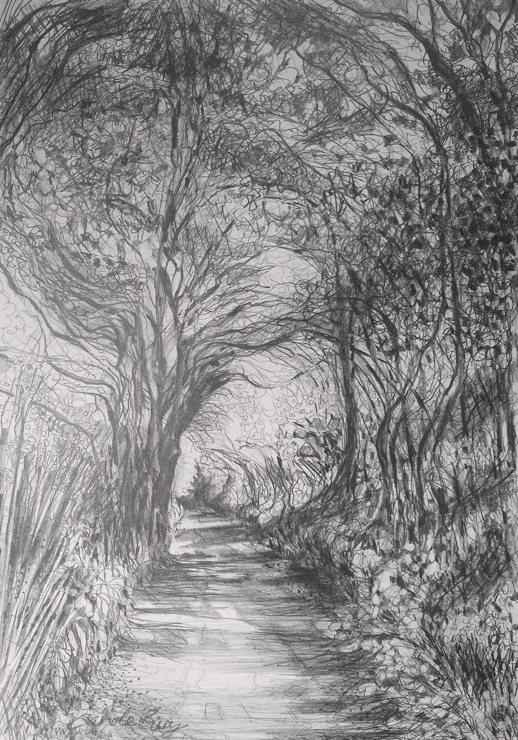 Rambling Collection — Carole Bury
