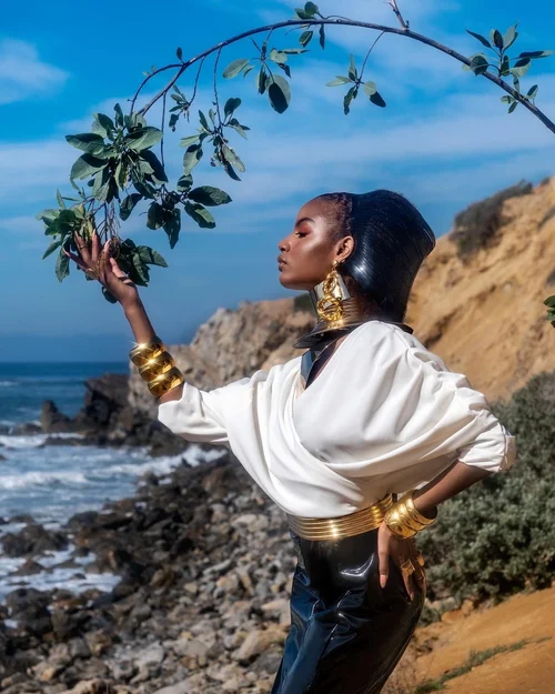 ebonee davis